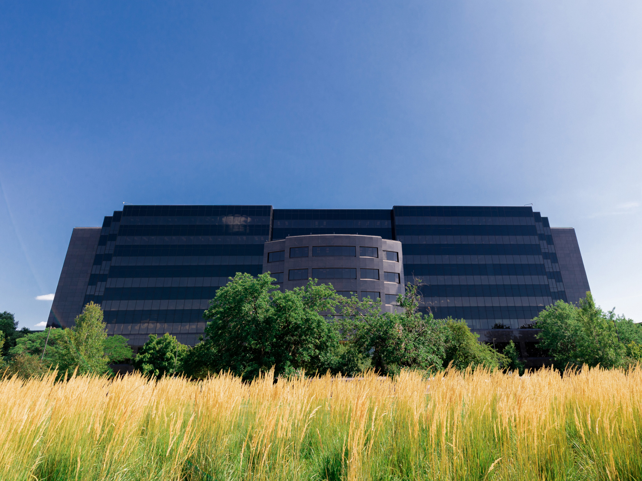 AEM Assets Brand Portal